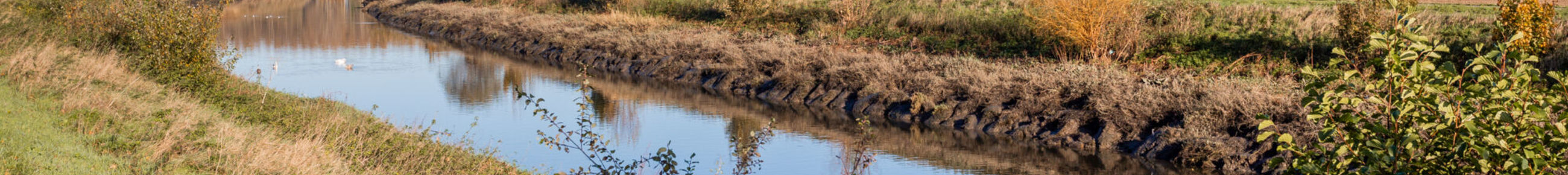 Hombeek - Visit Mechelen