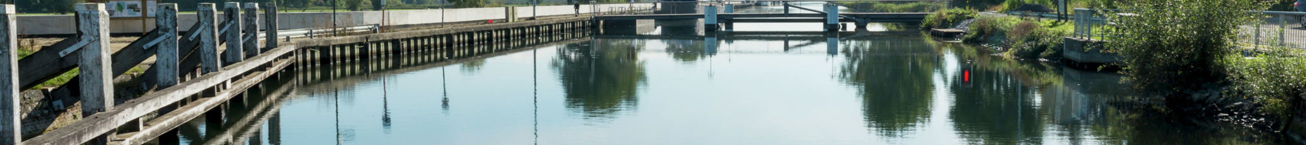 Wandeling Zennegat - Visit Mechelen