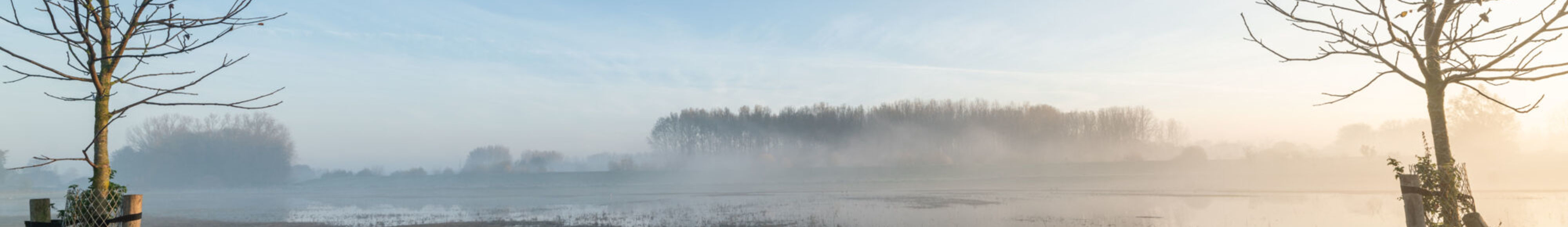 Leest - Visit Mechelen