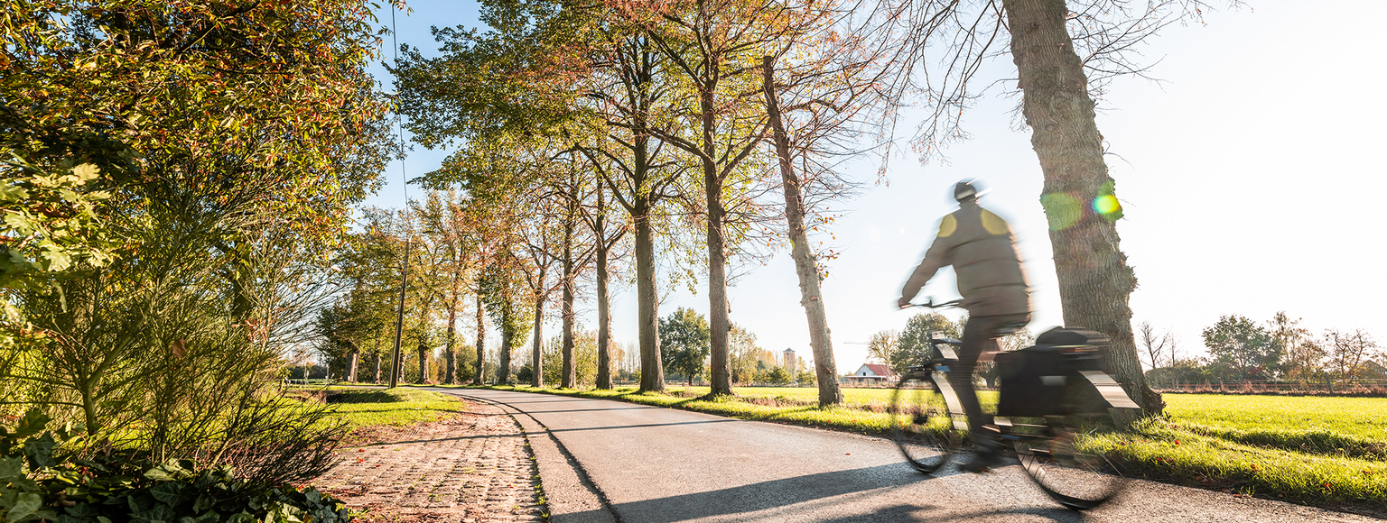 Rondje Leest - Hombeek - Visit Mechelen