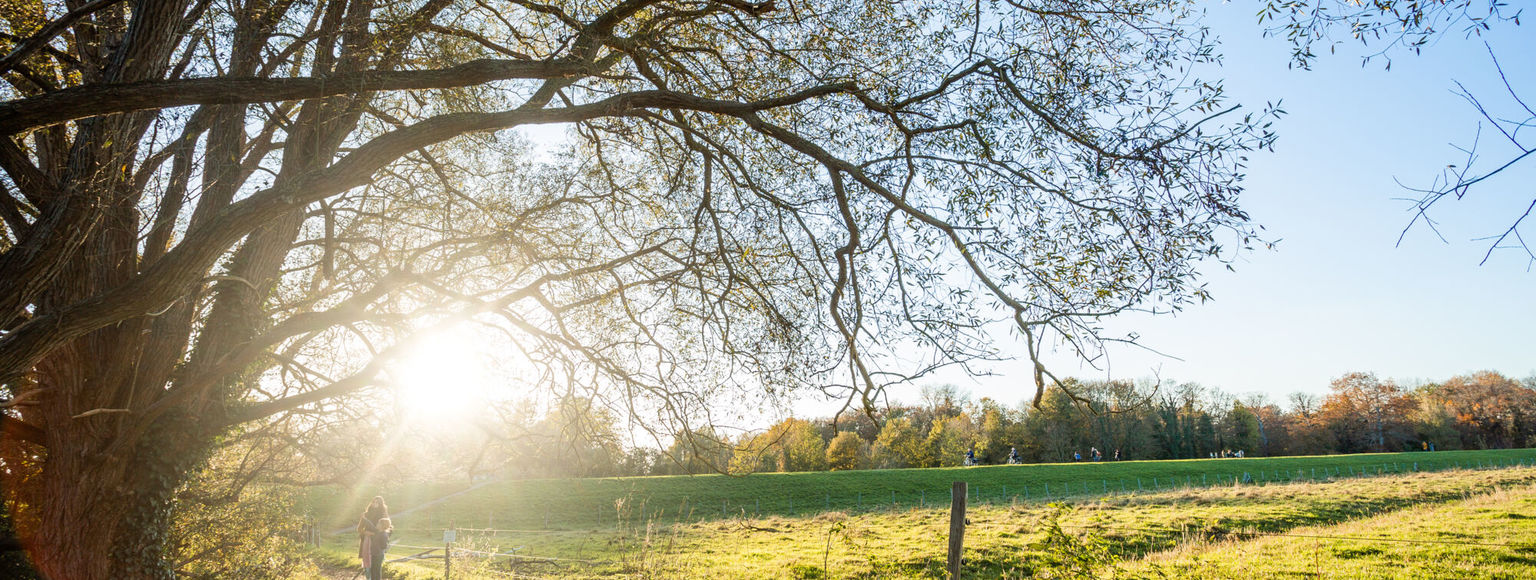 Groen & blauw - Muizen - Visit Mechelen